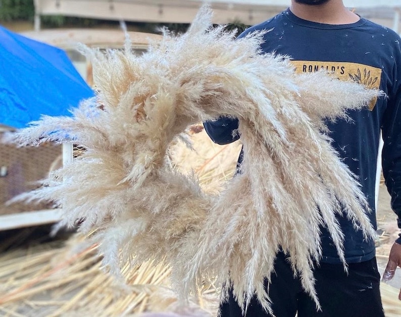 Pampas Grass Wreath - Etsy