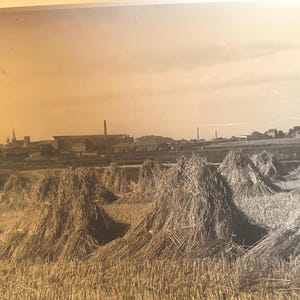 WW2 - Images From the War - Farming - 27 Photos (PH 401) - Etsy