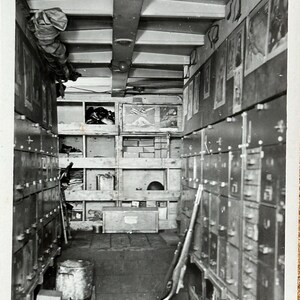 WW2 - Images of War - Army Life Photo Documentary - 70 Photos (MS444 ...