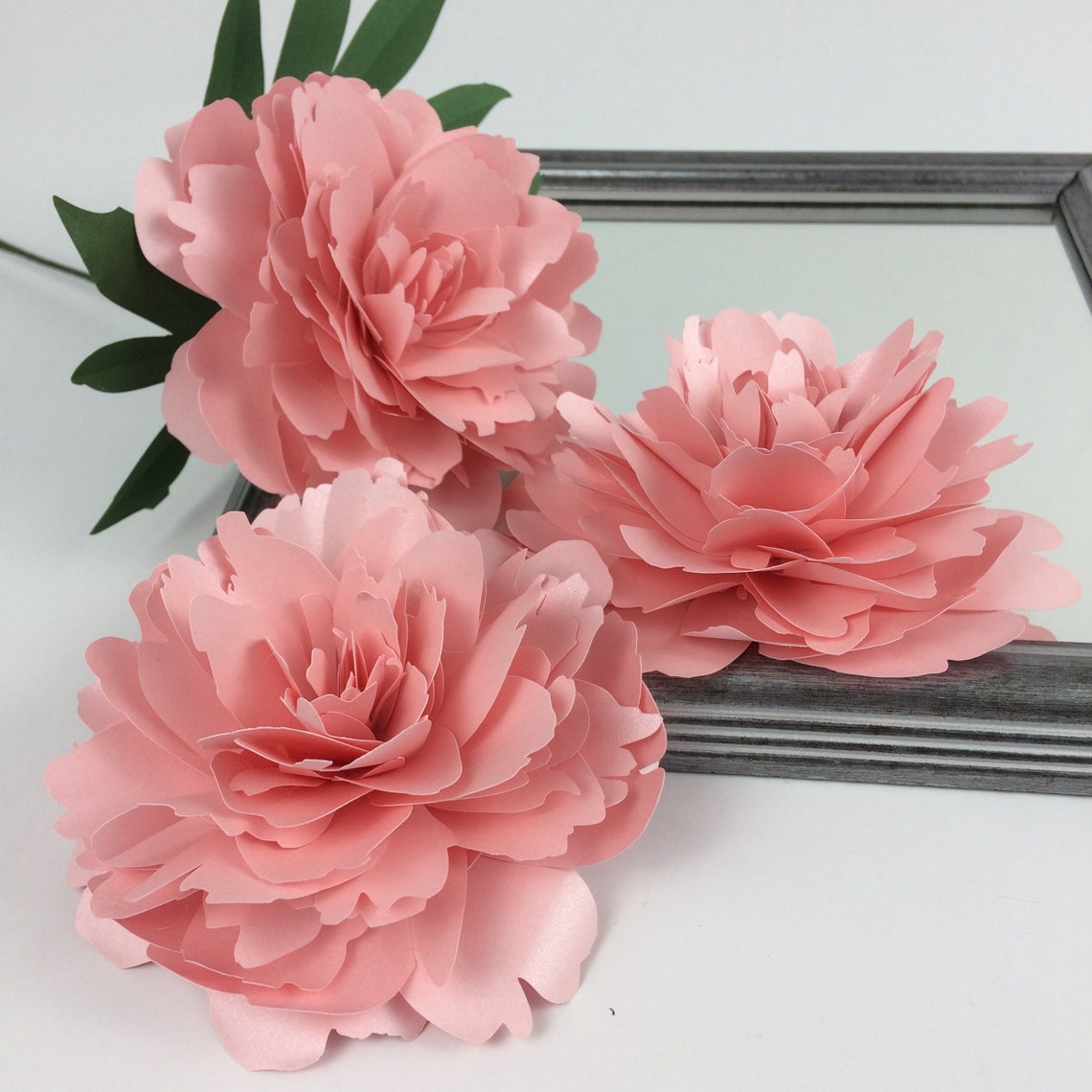 Peony Paper Flower Template SVG Paper Flower SVG Flower - Etsy New Zealand