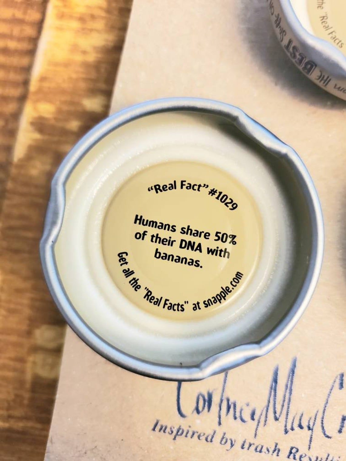 snapple-real-facts-bottle-cap-refrigerator-magnets-etsy