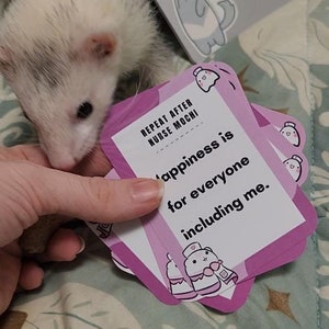 FERRET AFFERMATION CARDS - Etsy