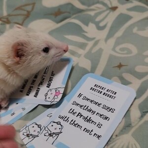 FERRET AFFERMATION CARDS - Etsy