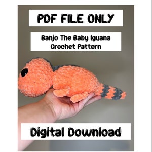 PDF ONLY Banjo the Baby Iguana Crochet Pattern - Etsy