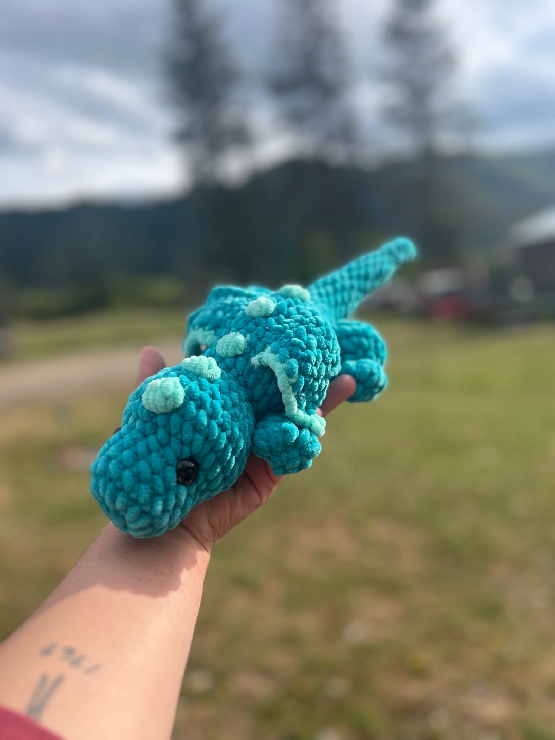 Mystery Dinky Stuffed Animal - Etsy