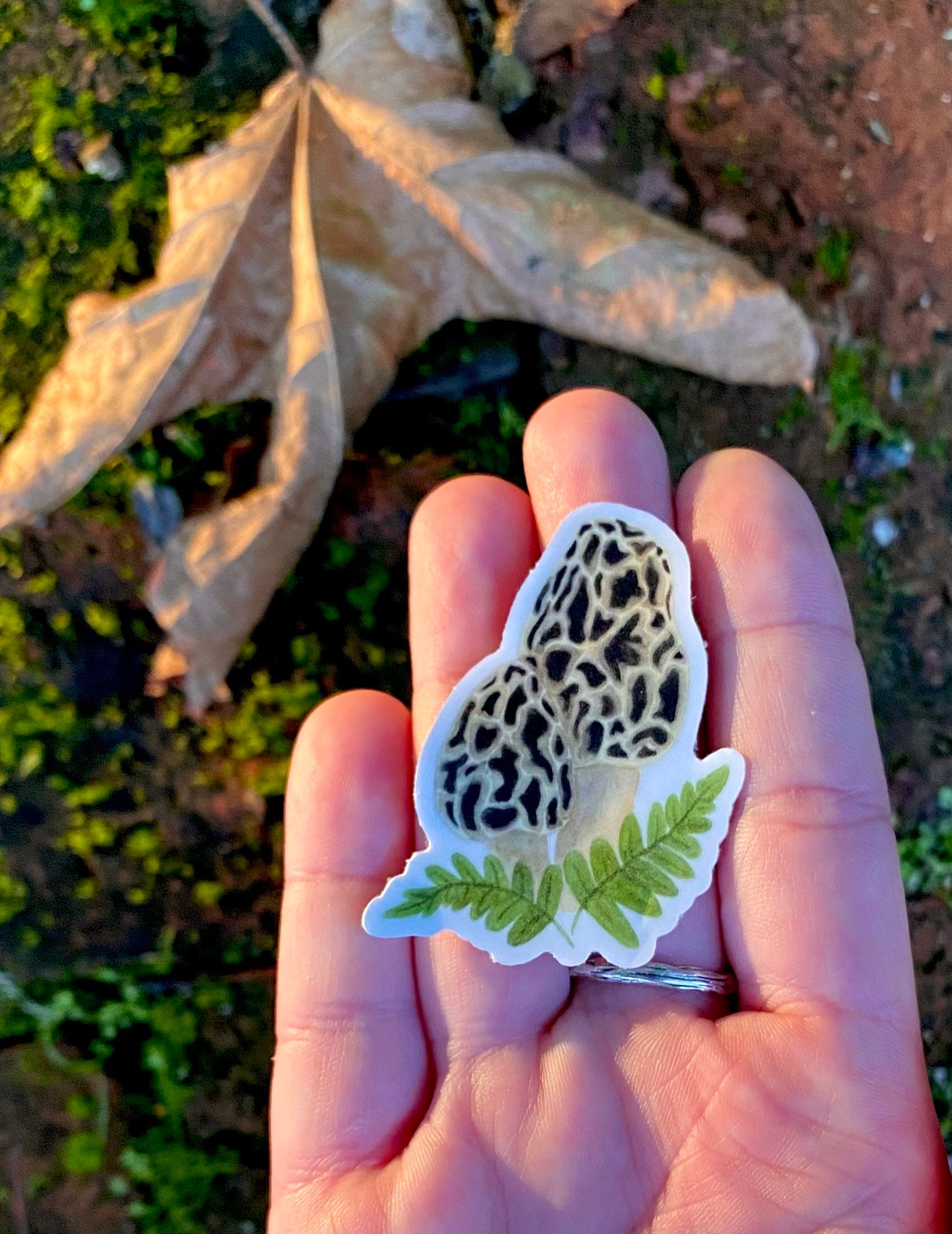 Morel Mushroom Sticker - Etsy