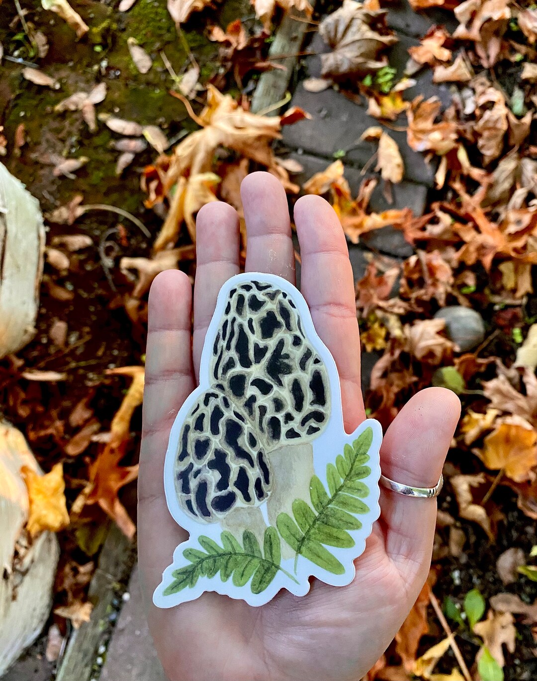 Morel Mushroom Sticker - Etsy