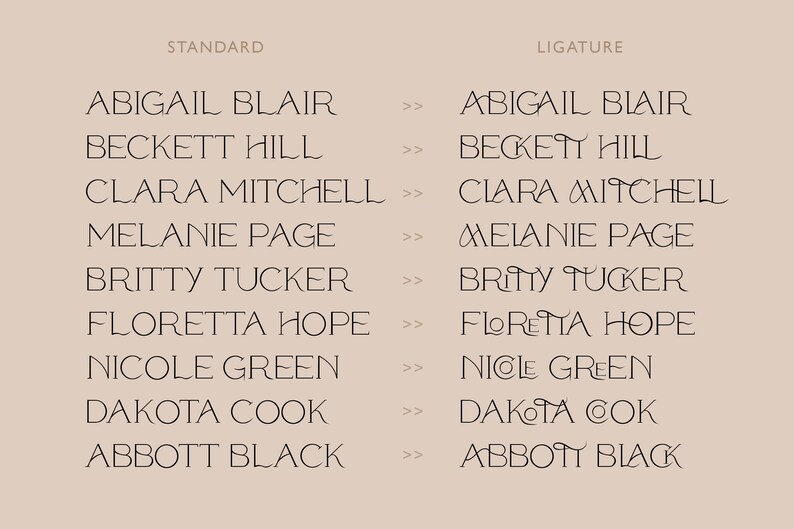 Modern Classy Font All Caps Serif Typeface Stylish Font for | Etsy