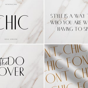 The Font Bundle, Script Font Collection, Handwritten Typography ...