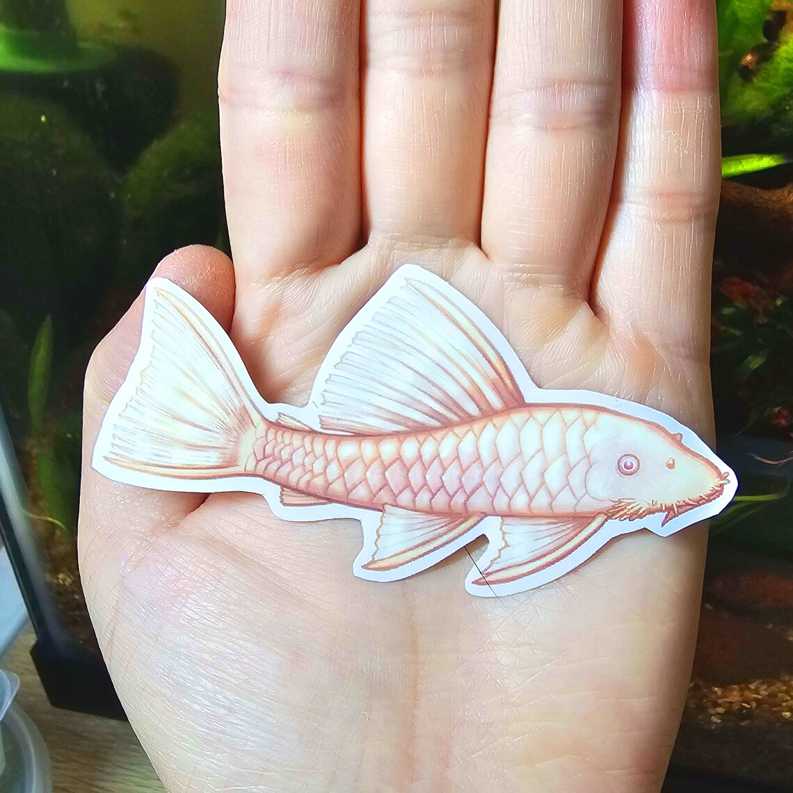 Albino Bristlenose Pleco Sticker - Etsy