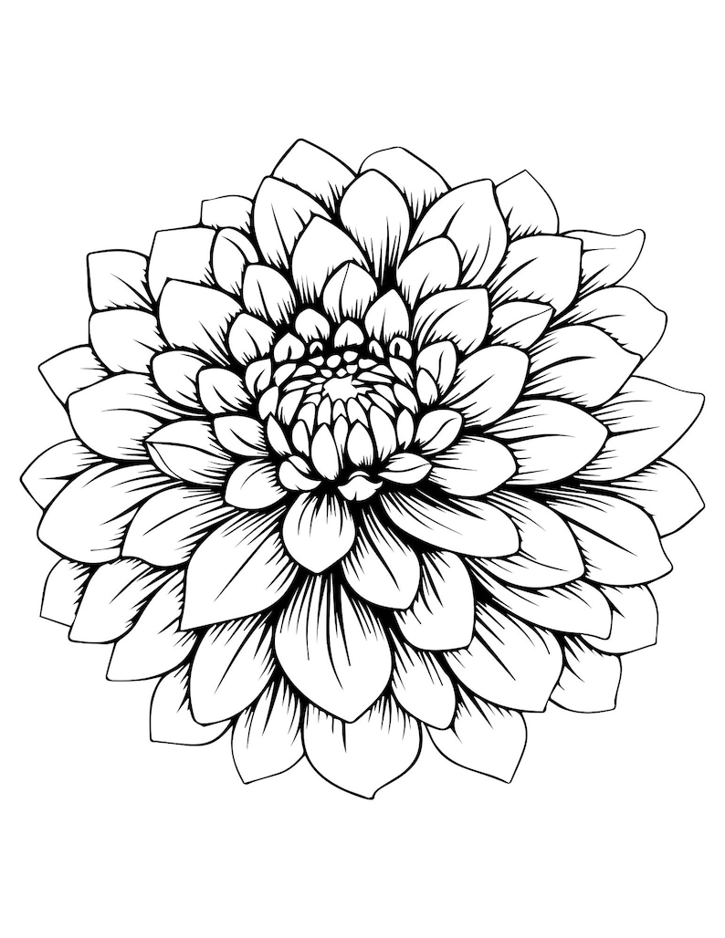 100 Floral Mandala Coloring Pages: Stress Relief Art (PDF Printable) - Etsy