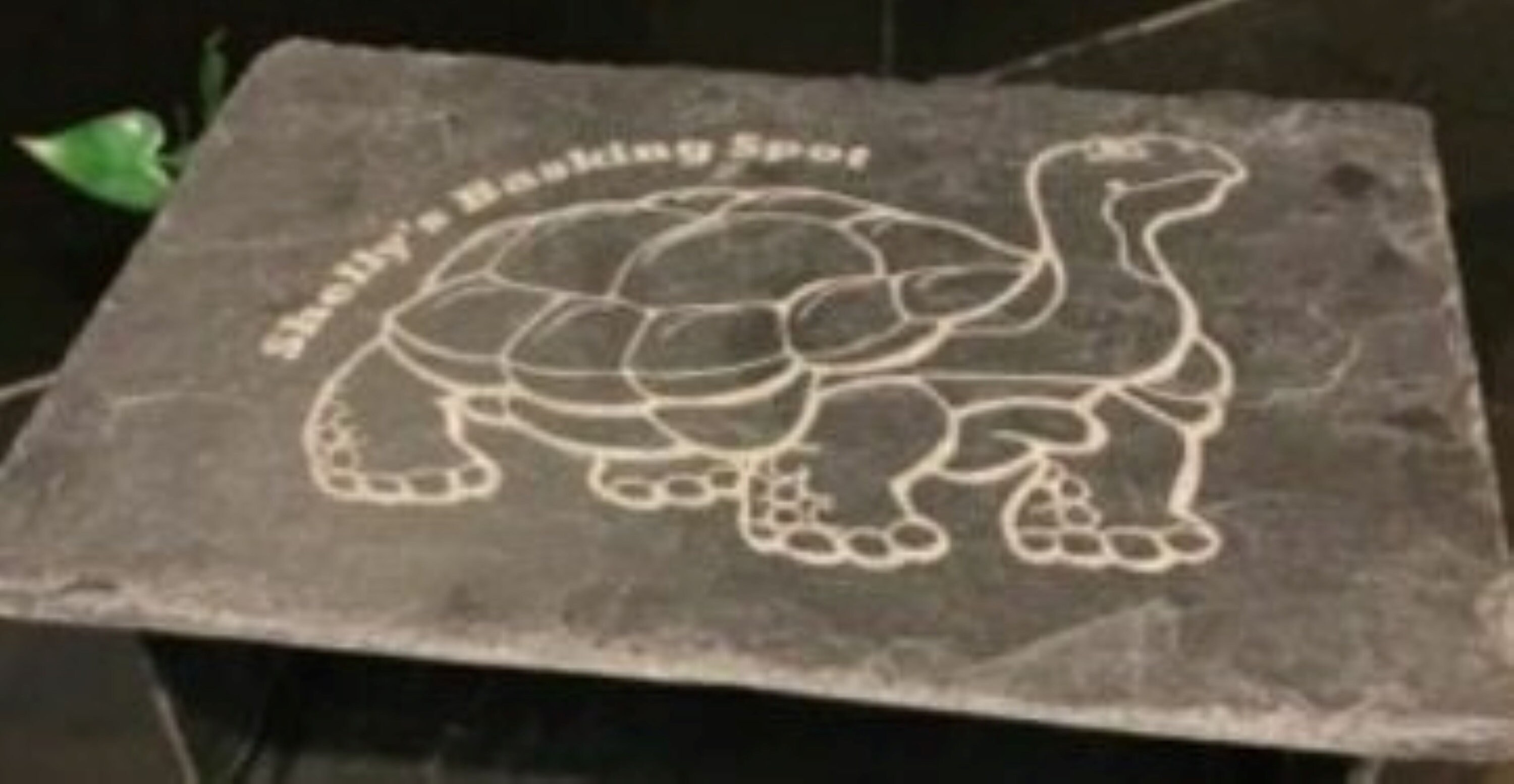 Engraved Large Slate Reptile Lizard Dragon Tortoise Basking Decoration ...