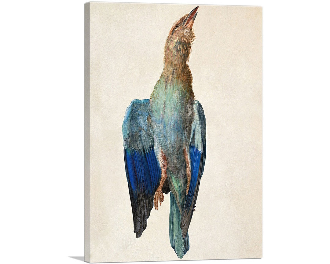 ARTCANVAS Dead Bluebird - Blue Roller 1512 by Albrecht Durer Canvas Art ...