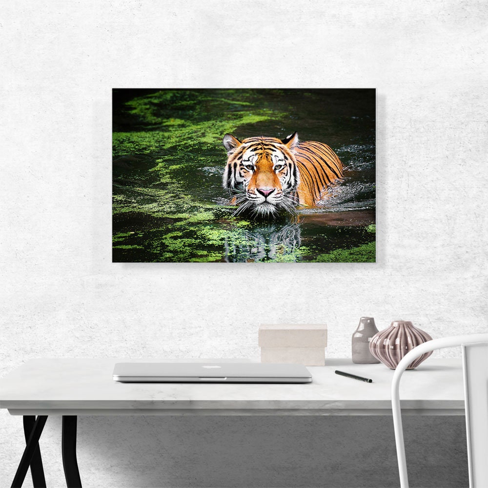 ARTCANVAS Tiger Swimming in Swamp Canvas Art Print | Etsy