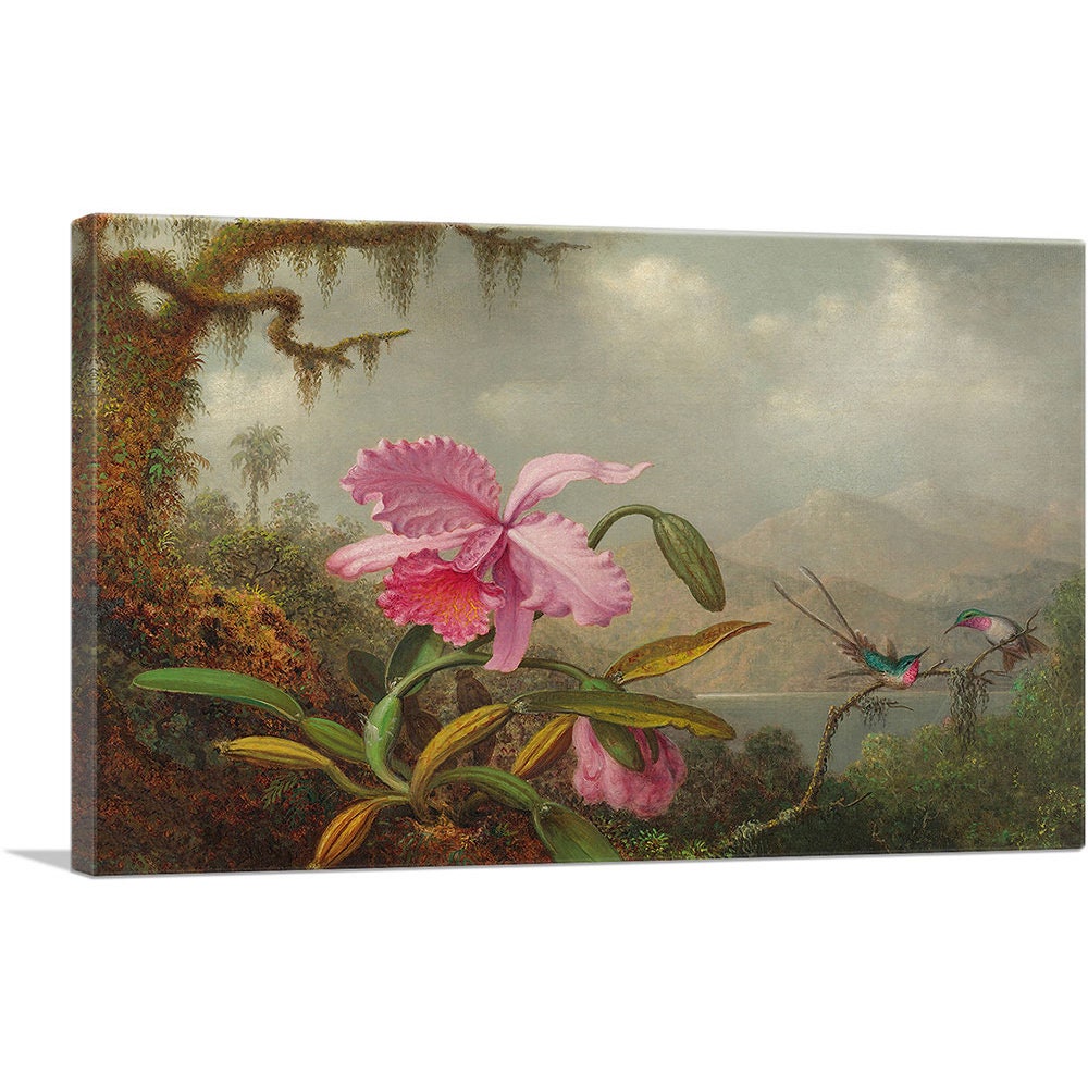ARTCANVAS Orchids and Hummingbirds 1890 by Martin Johnson - Etsy
