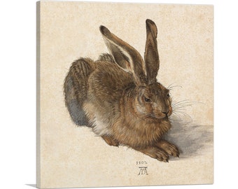 Durer Fine Art Reproduction. Young Hare, 1502 by Albrecht Durer. Fine ...
