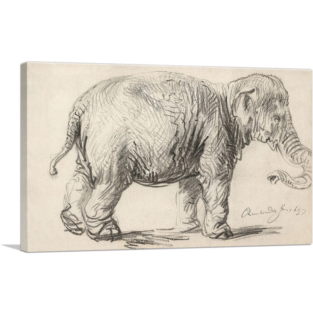 ARTCANVAS an Elephant 1637 by Rembrandt Van Rijn Canvas Art Print - Etsy