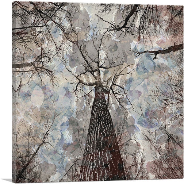 Leafless Tree Art - Etsy