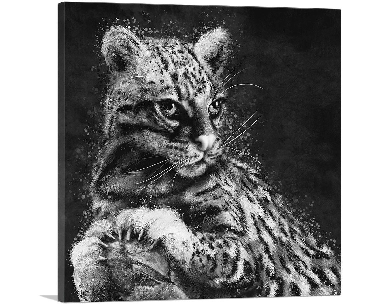 Black And White Ocelot