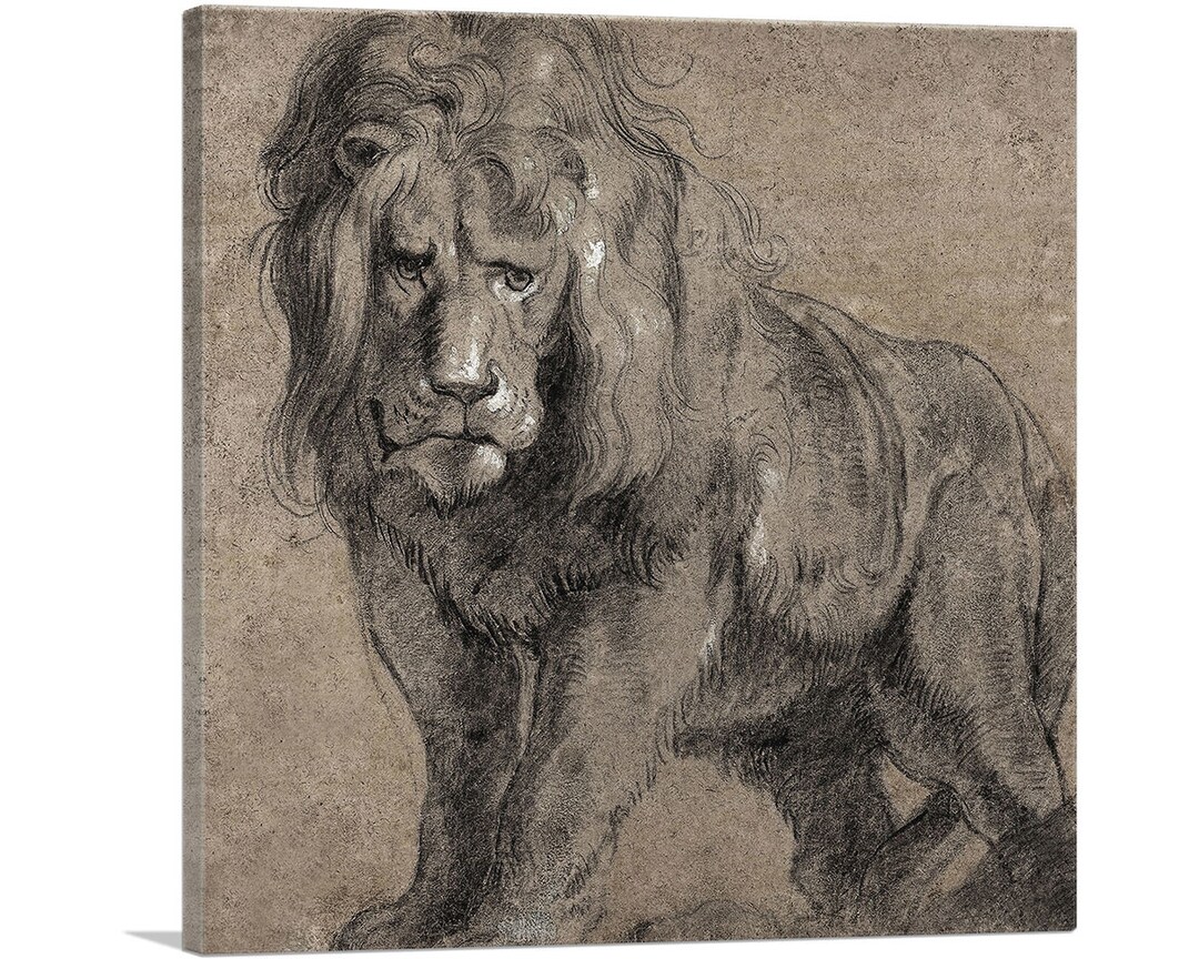 ARTCANVAS Lion 1613 by Peter Paul Rubens Canvas Art Print - Etsy