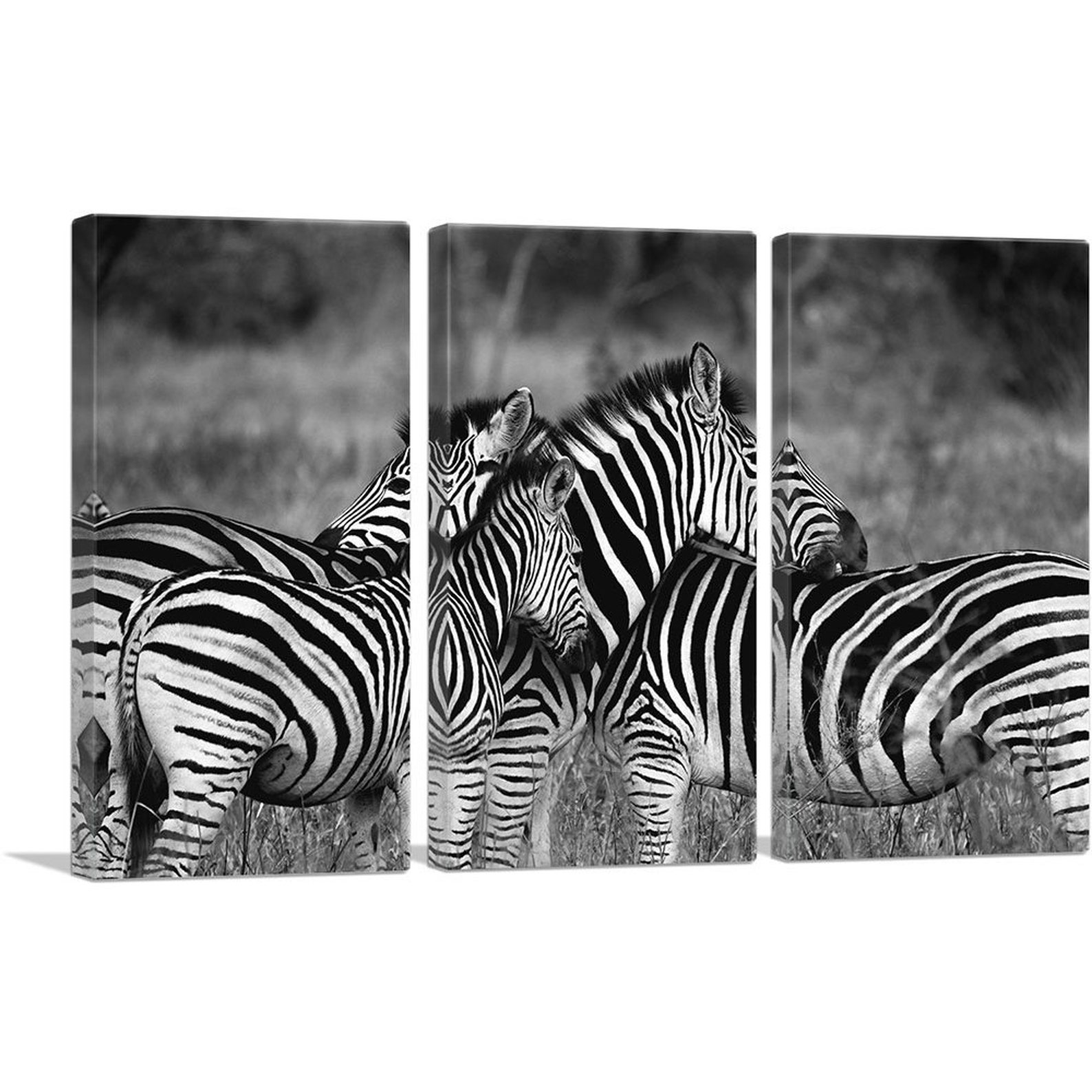 ARTCANVAS Zebras Home Decor Rectangle Canvas Art Print - Etsy