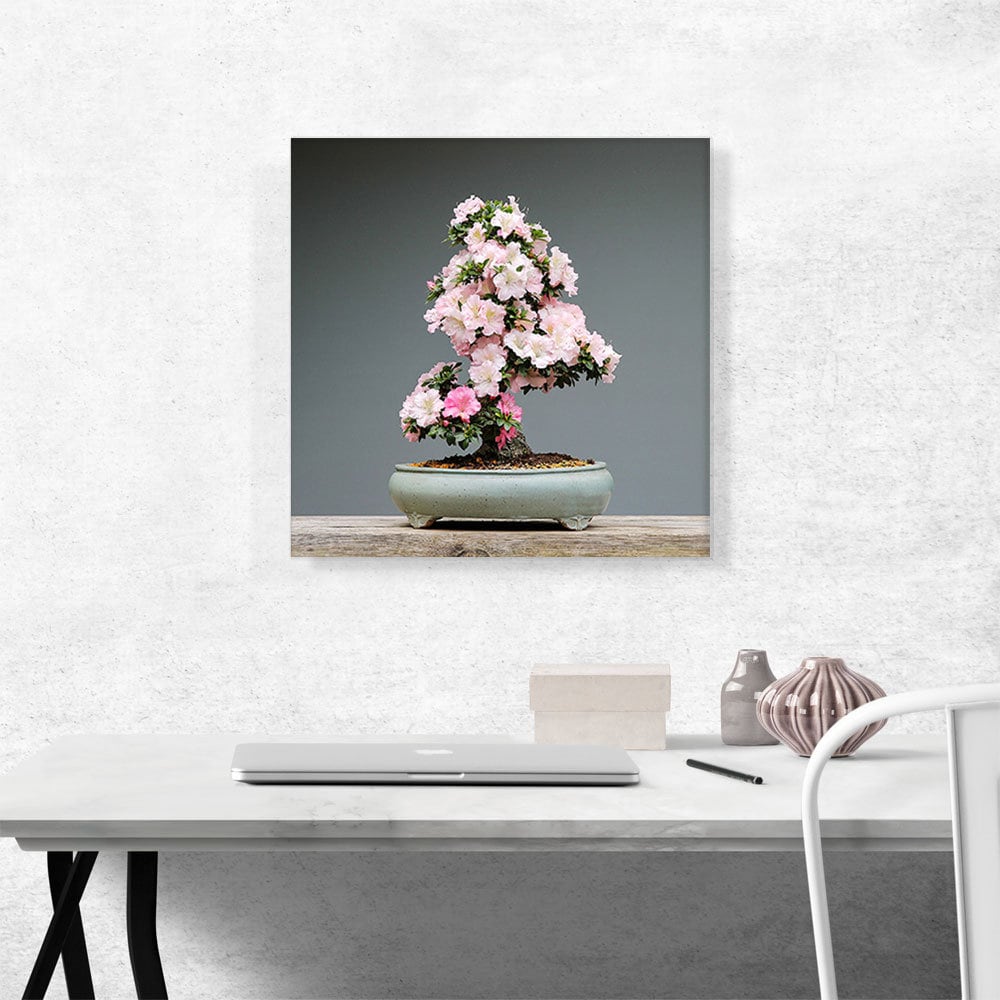 ARTCANVAS Printed Photograph of Bonsai, Japanese Tree Canvas Art Print ...