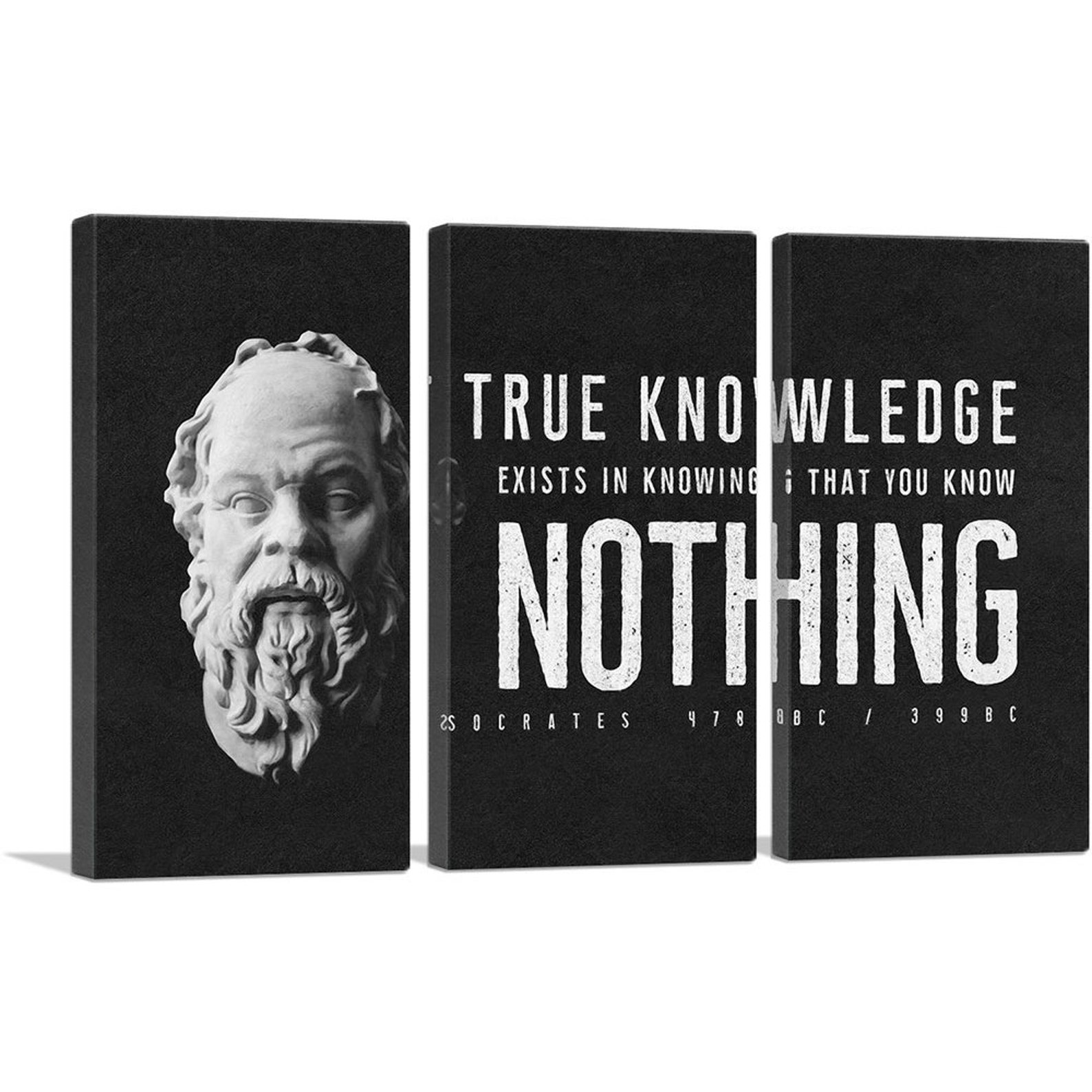 ARTCANVAS True Knowledge Exists in Knowing Socrates Canvas Art Print - Etsy