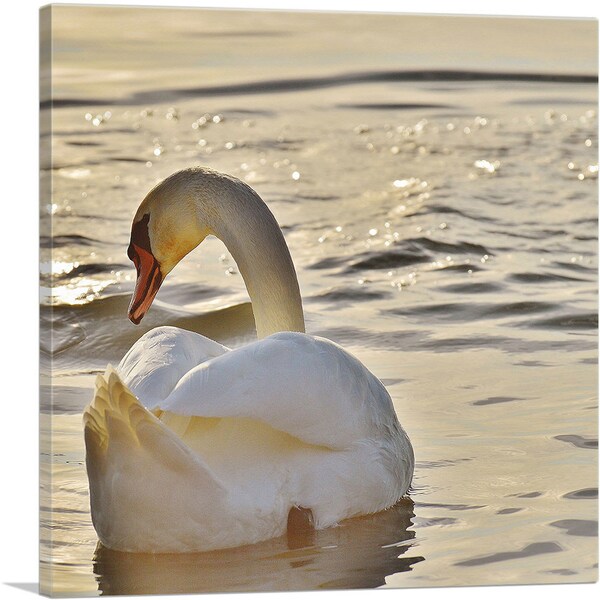 Swan Print - Etsy