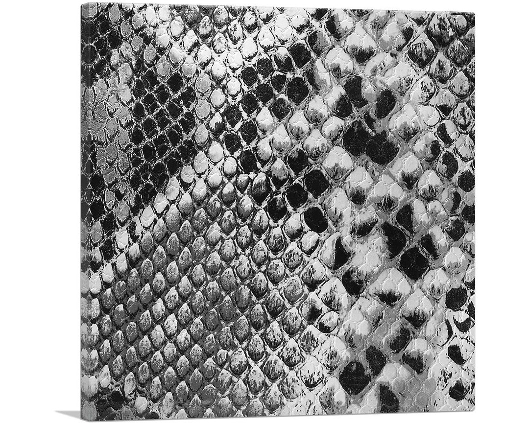 ARTCANVAS Snake Skin Home Decor Square Canvas Art Print - Etsy