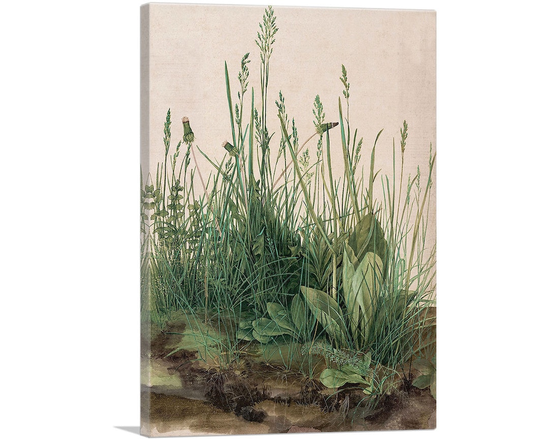 ARTCANVAS the Large Piece of Turf 1503 by Albrecht Durer Canvas Art ...