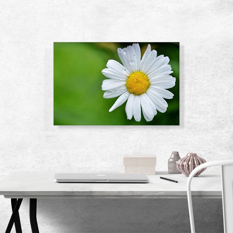ARTCANVAS Daisy Flower Home Decor Canvas Art Print - Etsy