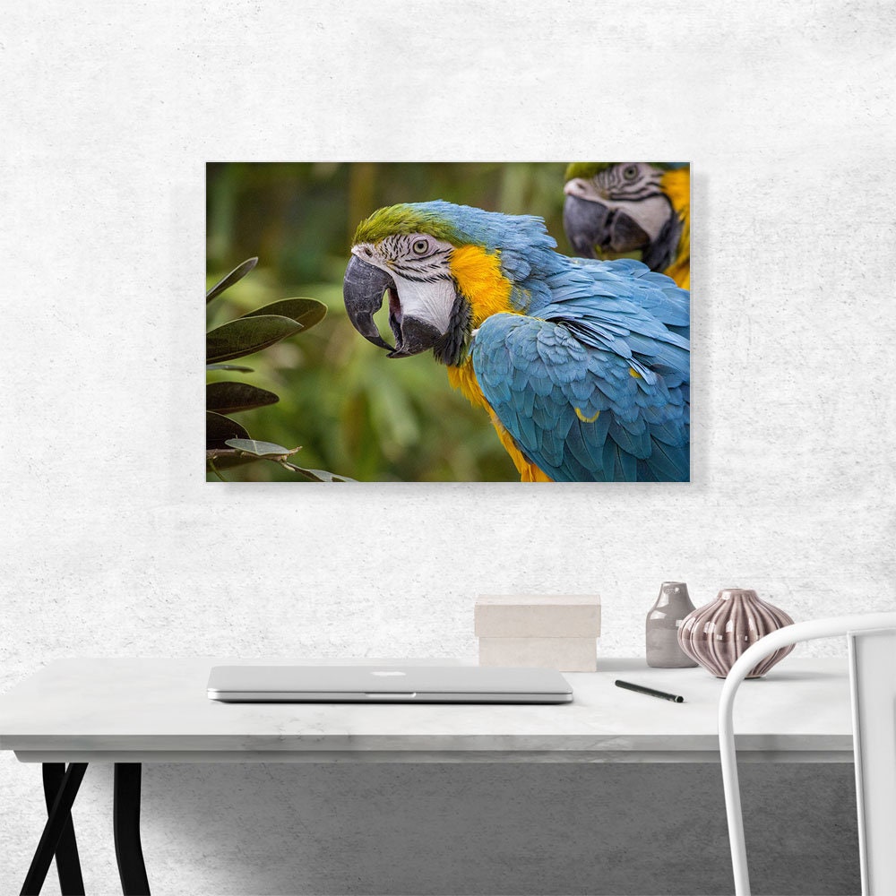 ARTCANVAS Macaw Home Decor Rectangle Canvas Art Print - Etsy