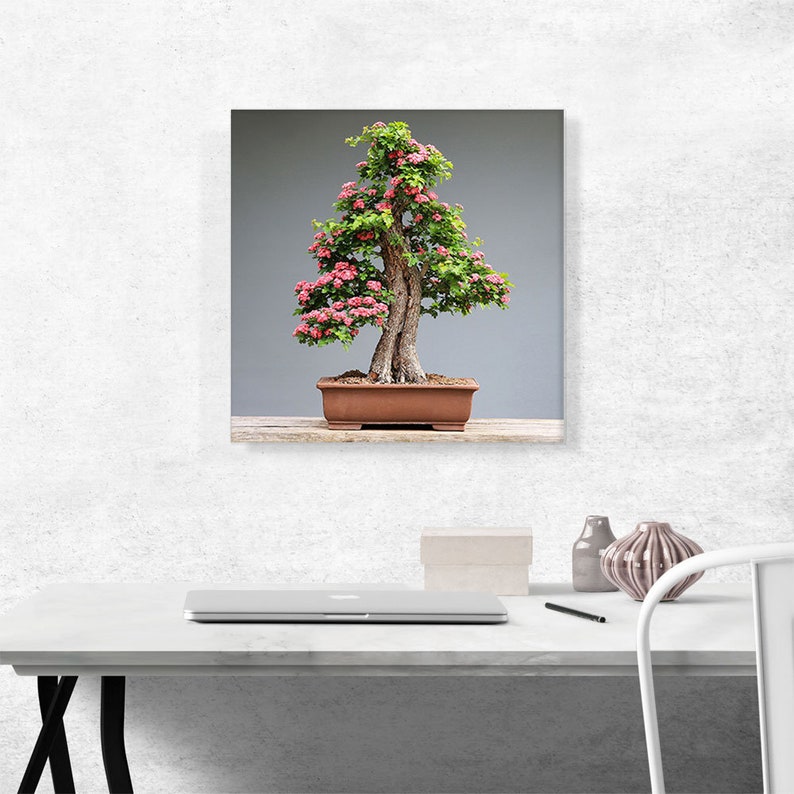 ARTCANVAS Bonsai Japanese Mini Tree Canvas Art Print - Etsy