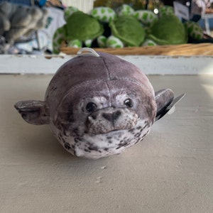 Fat Seal Stuffed Animal - Etsy