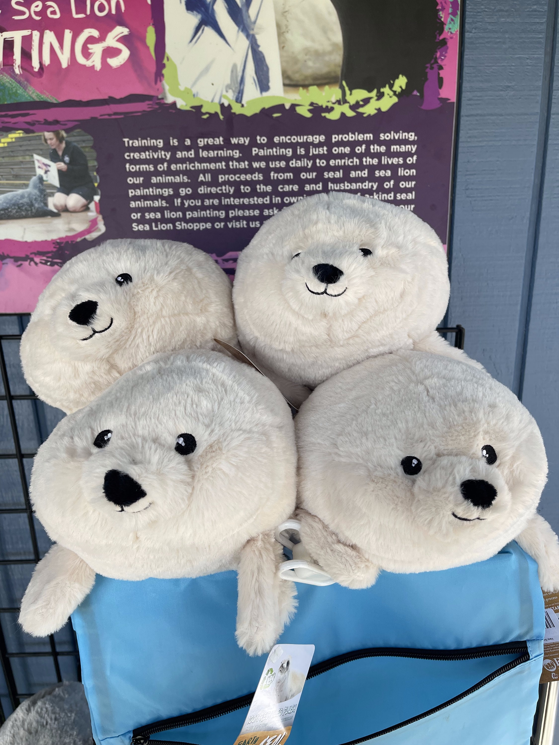 Harp Seal Plush - Etsy