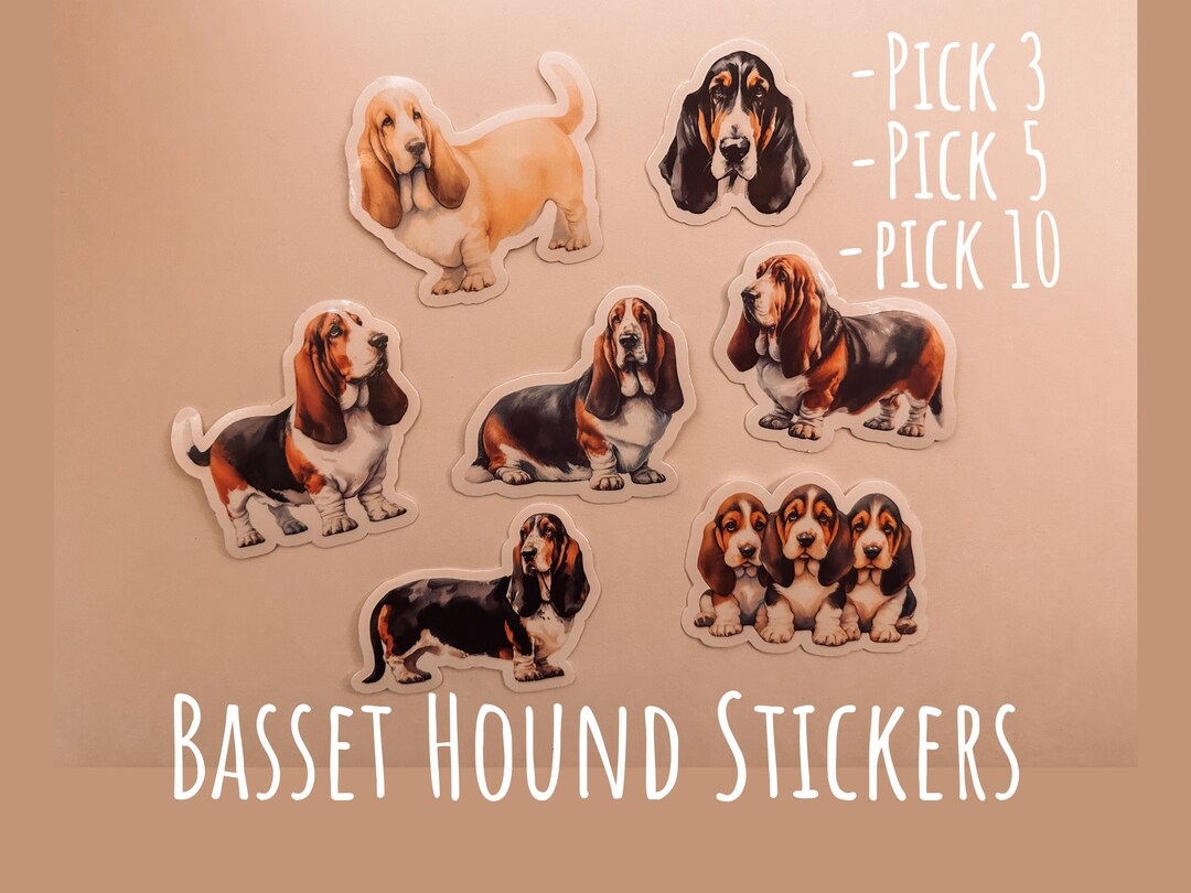 Basset Hound Sticker Set - Pick 3, 5, or 10 - Gloss Finish - Etsy