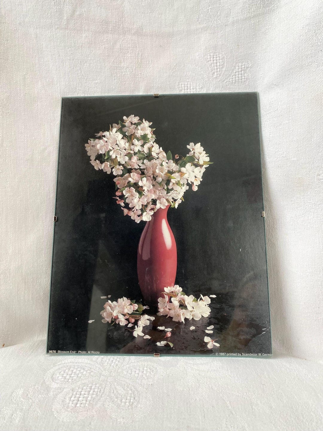 Vintage 1987 Blossom End Art Photo Print, Al Riccio Floral Photography ...