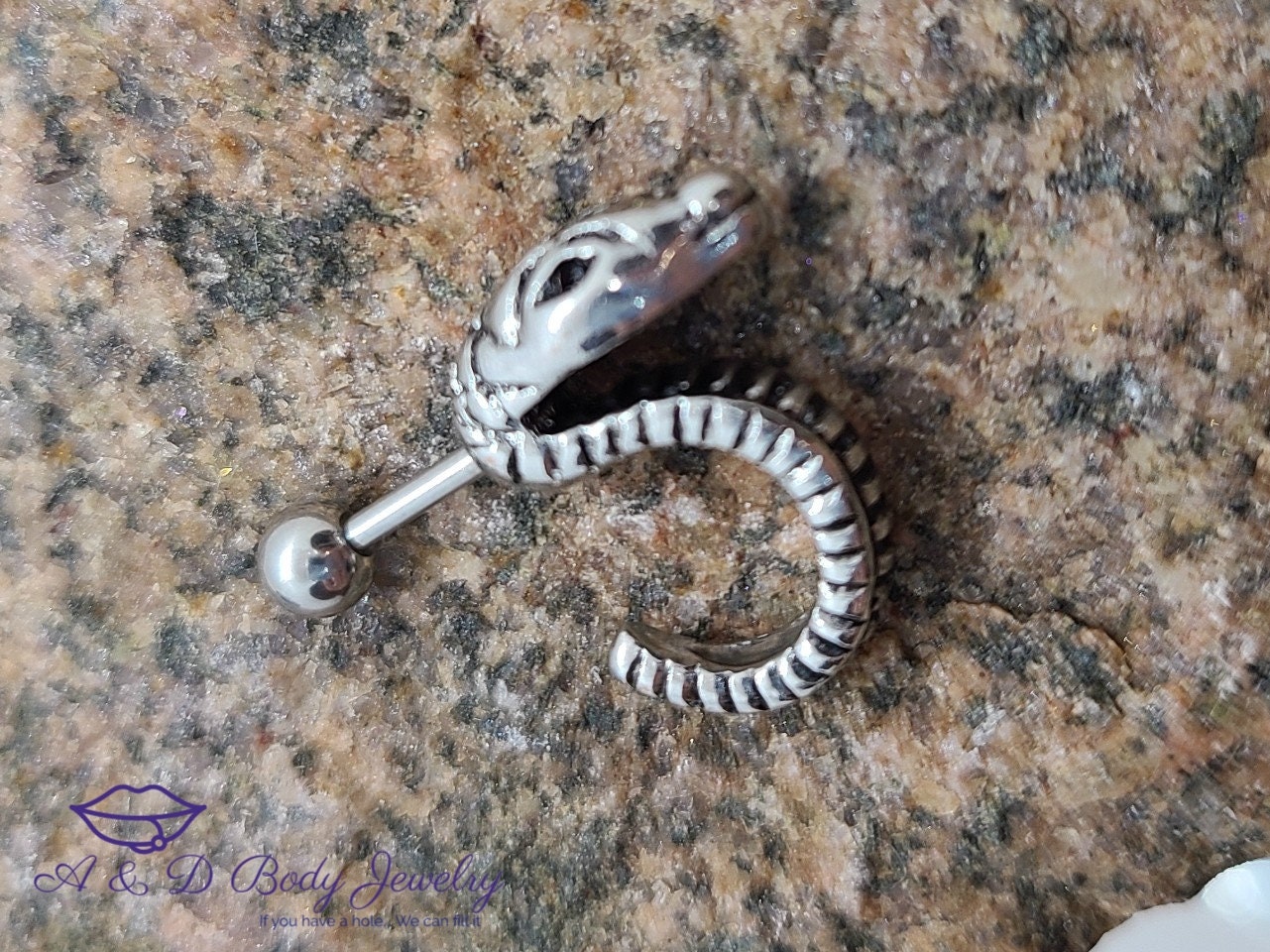 Curved Snake Cartilage Earring Cartilage Barbell - Etsy