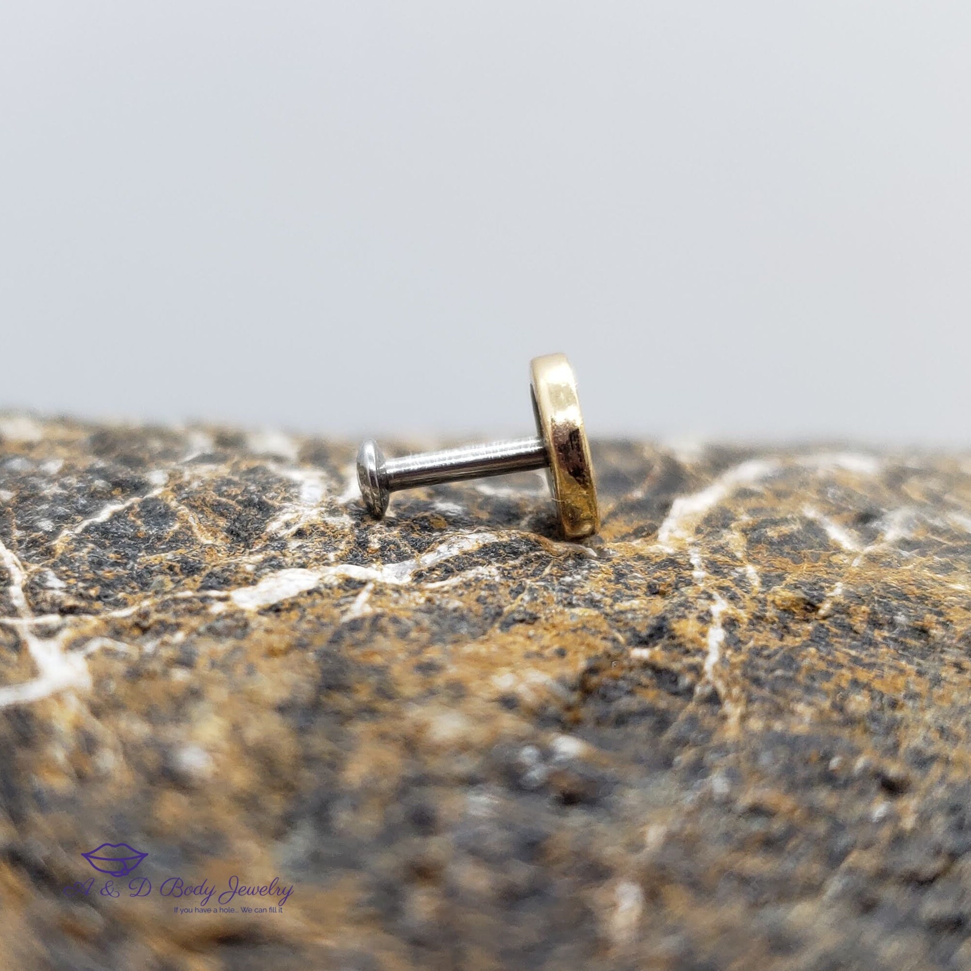 Bullet Back Casing Lip Labret - Etsy