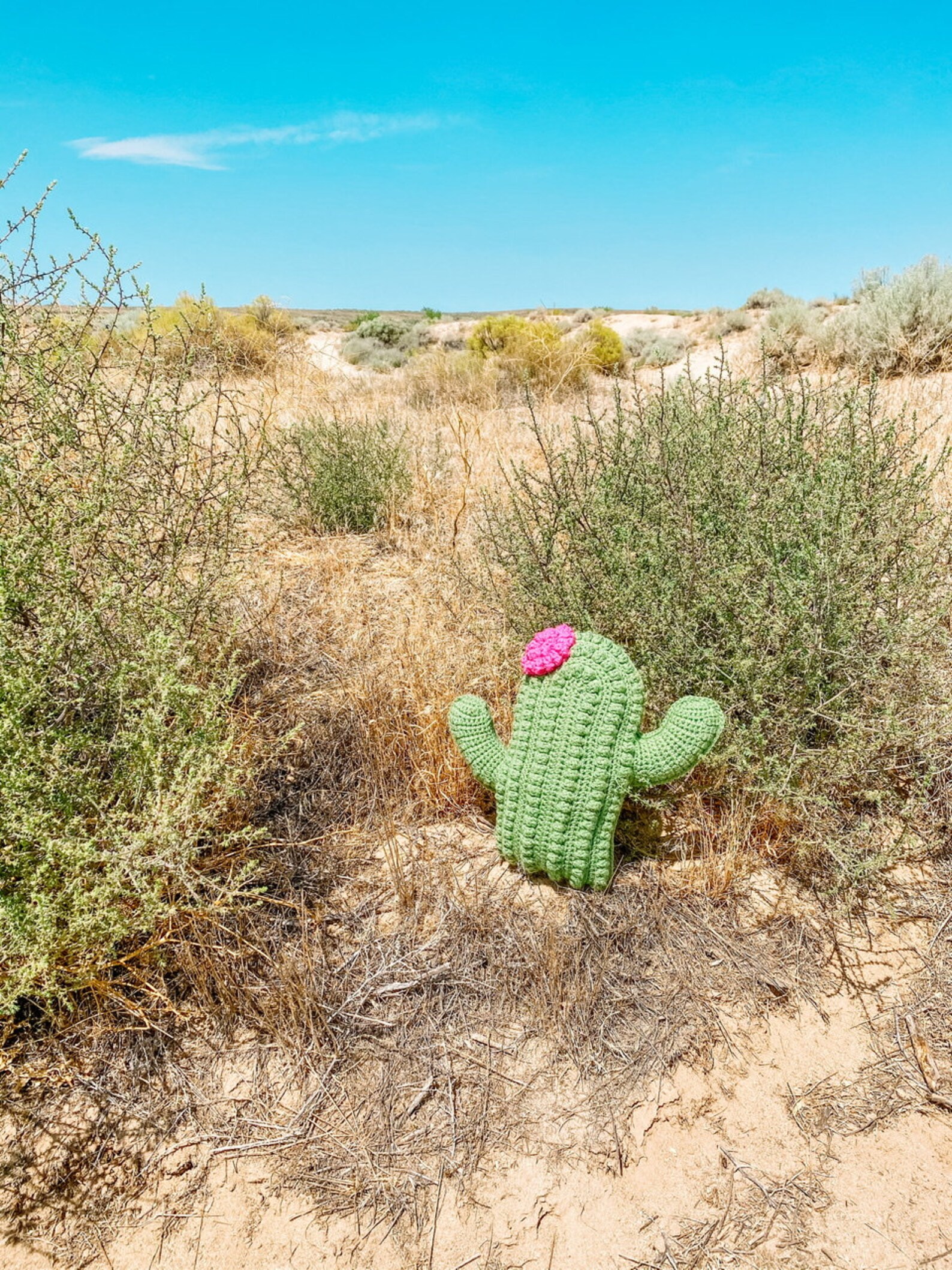 Cactus Pillow - Etsy
