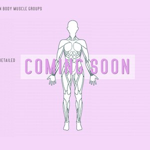 Muscles SVG Bundle-editable Muscles-highlight Muscle Gym Poster- Muscle ...