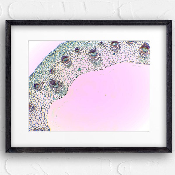 Biology Wall Art - Etsy