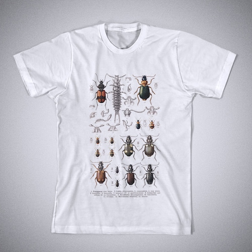 Beetles T-shirt Insects Tshirt Vintage Insects Print Bugs - Etsy