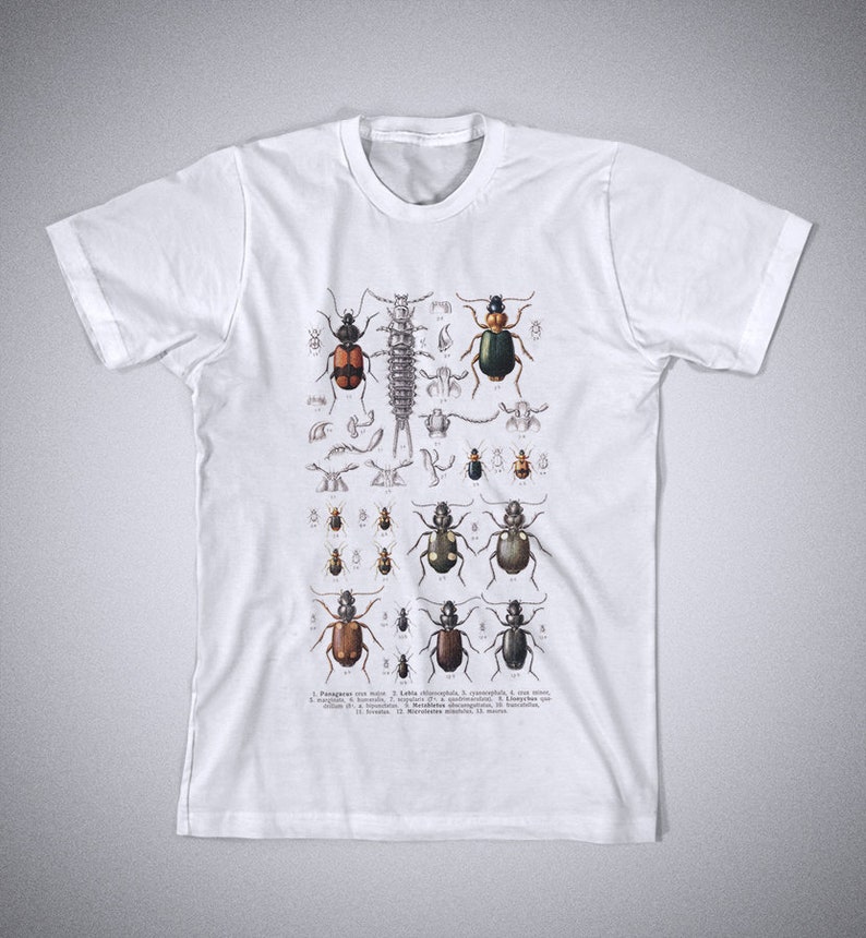 Beetles T-shirt Insects Tshirt Vintage Insects Print Bugs | Etsy