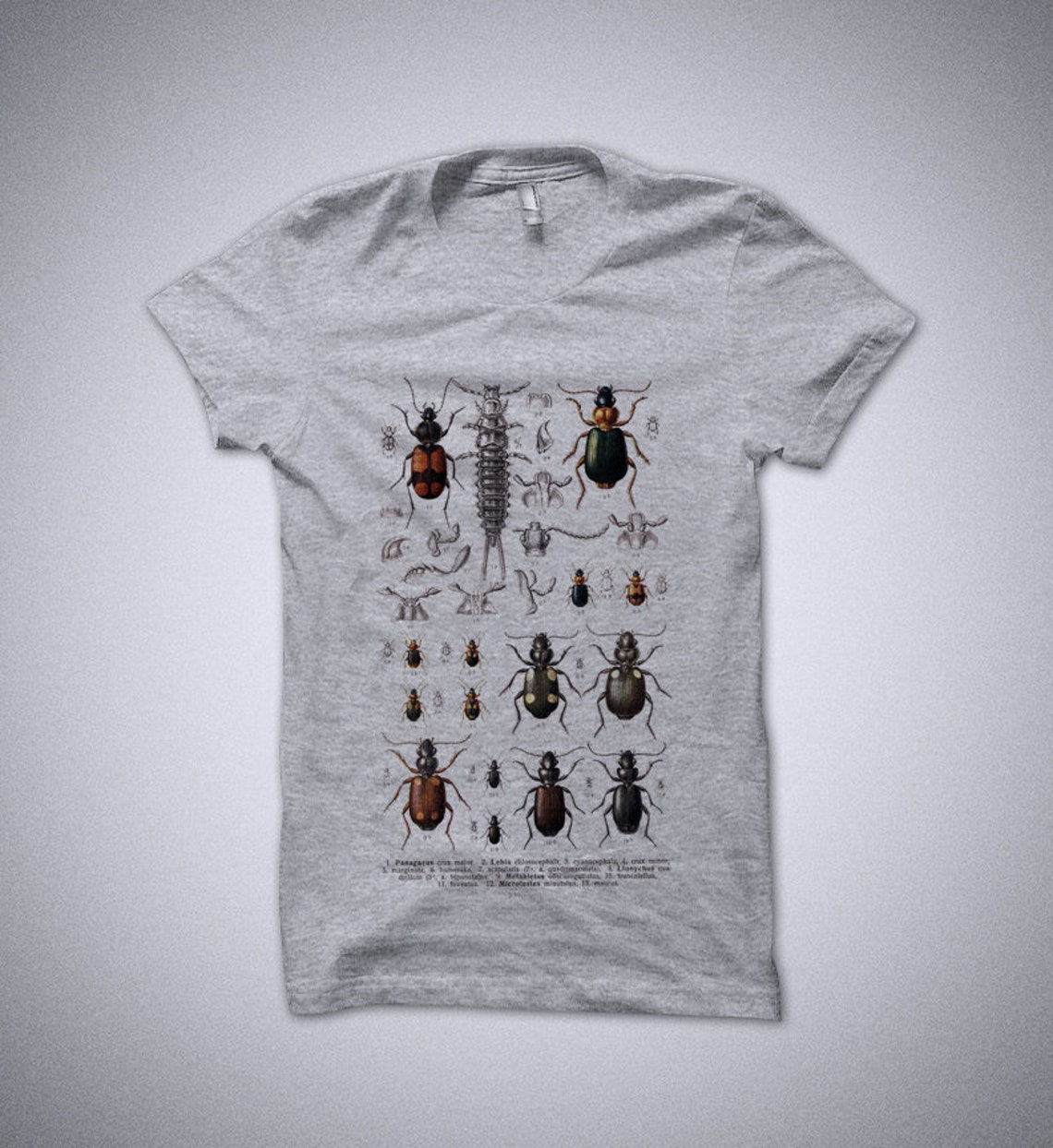 Beetles t-shirt Insects tshirt Vintage Insects print Bugs | Etsy