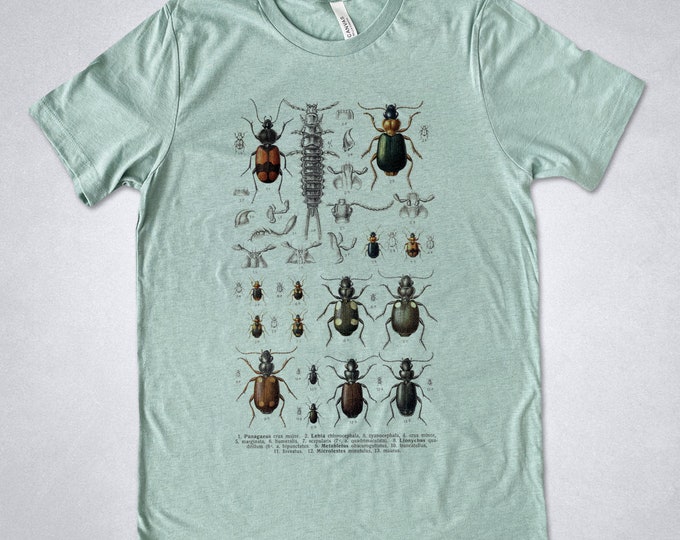 Beetles T-shirt, Insects Tshirt, Vintage Insects Print, Bugs T-shirt ...