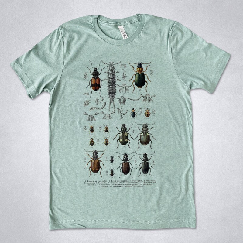 Insect Print Clothing - Etsy