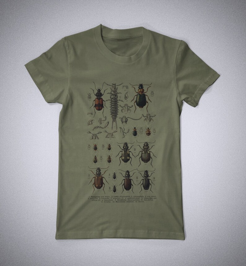 Beetles T-shirt Insects Tshirt Vintage Insects Print Bugs | Etsy