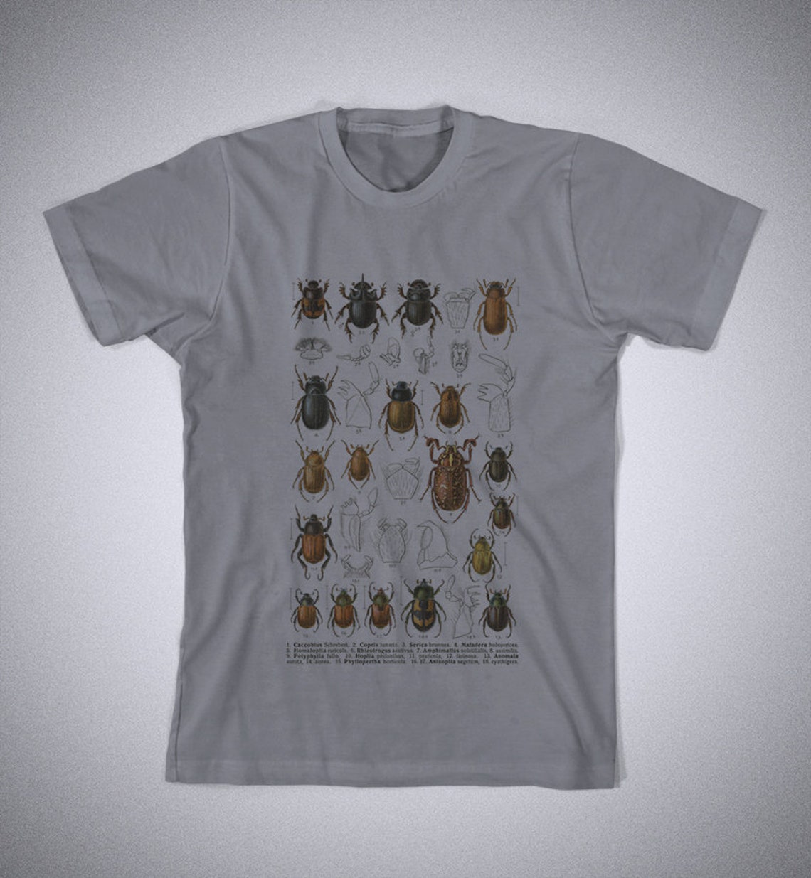 Beetles Illustration Shirt Insects Tshirt Vintage Insects | Etsy
