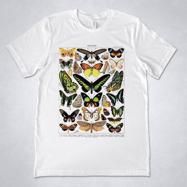 Butterfly Papillon - Etsy